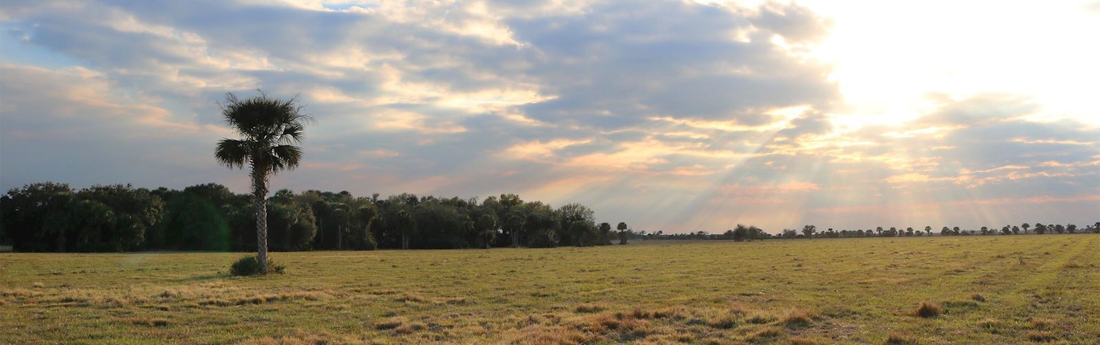 Florida's Wildlife Corridor Will Affect Landowners and Investors