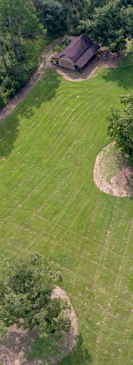 Conservation Easements: Why Hire Land Valuation Services?