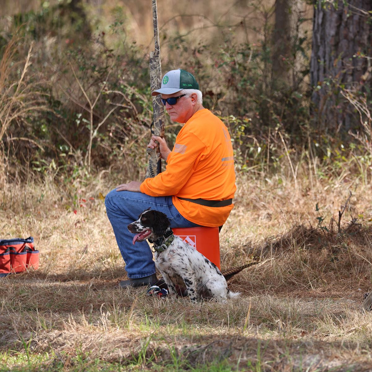 Popular Hunting Species in Florida | SVN Saunders Ralston