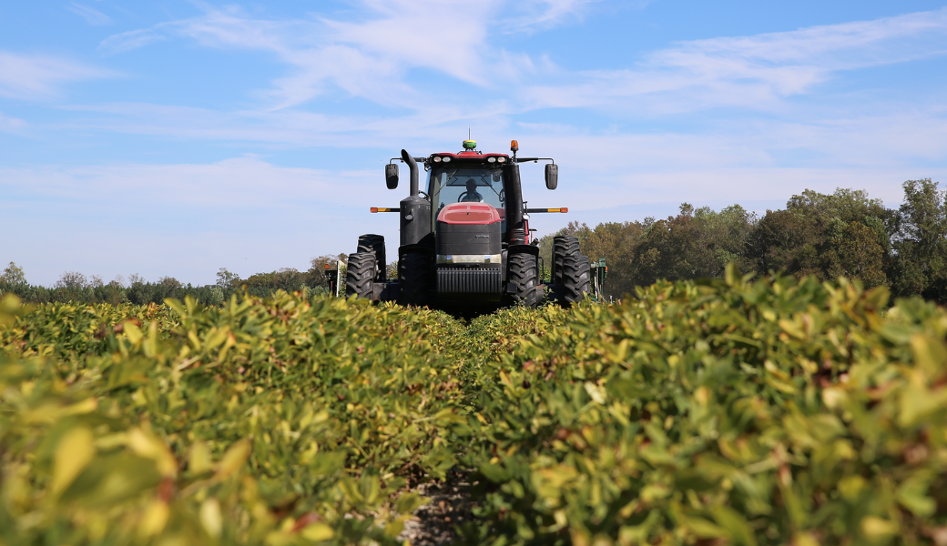 Looking Ahead at Southeast Growing Season • Saunders Land