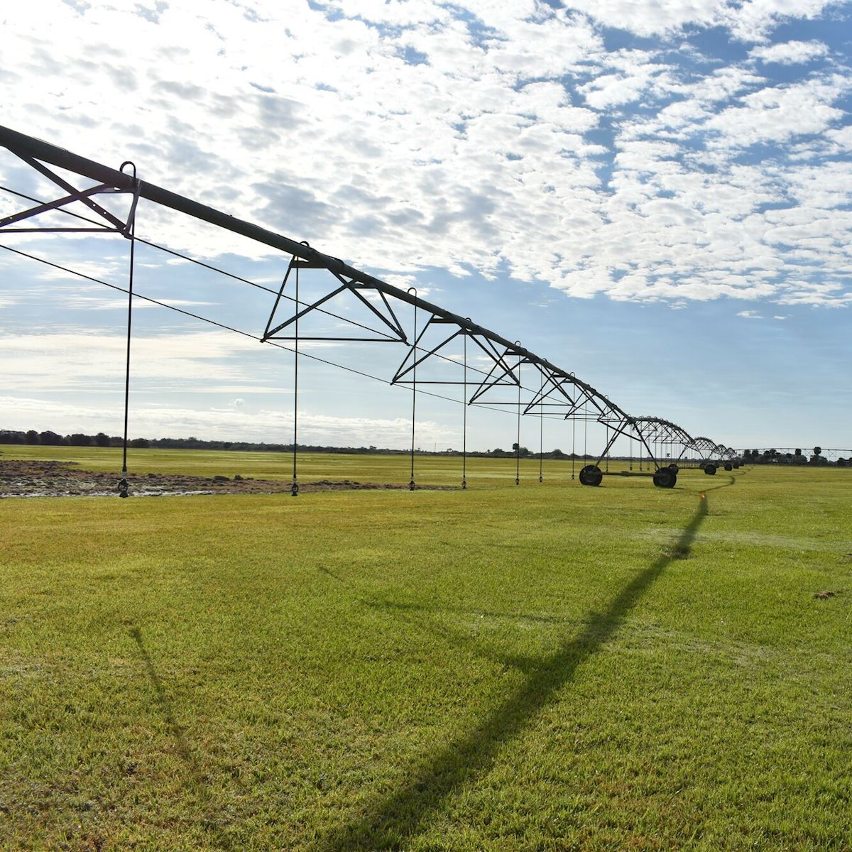 $35 Million Florida Land Sale | SVN Saunders Ralston Dantzler