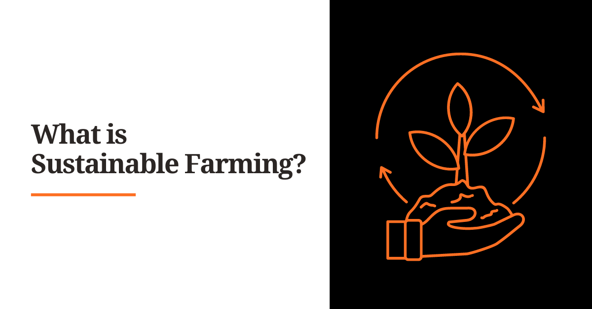 What Is Sustainable Farming? l SVN Saunders Ralston Dantzler